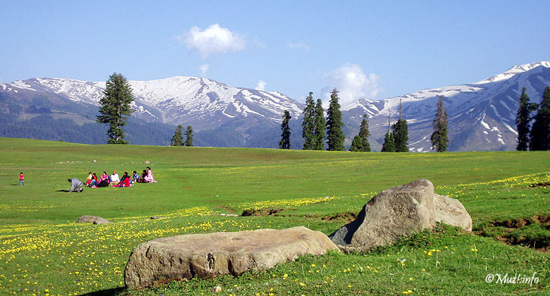 Gulmarg places to Stay